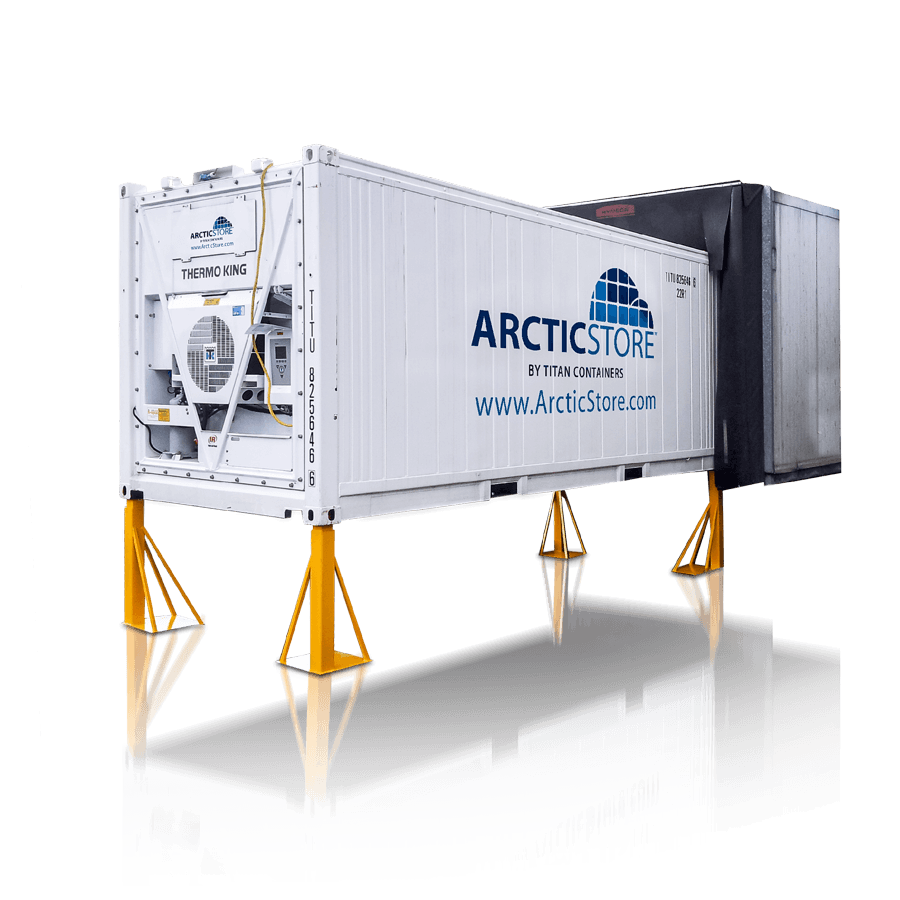 Phụ kiện ArcticStore